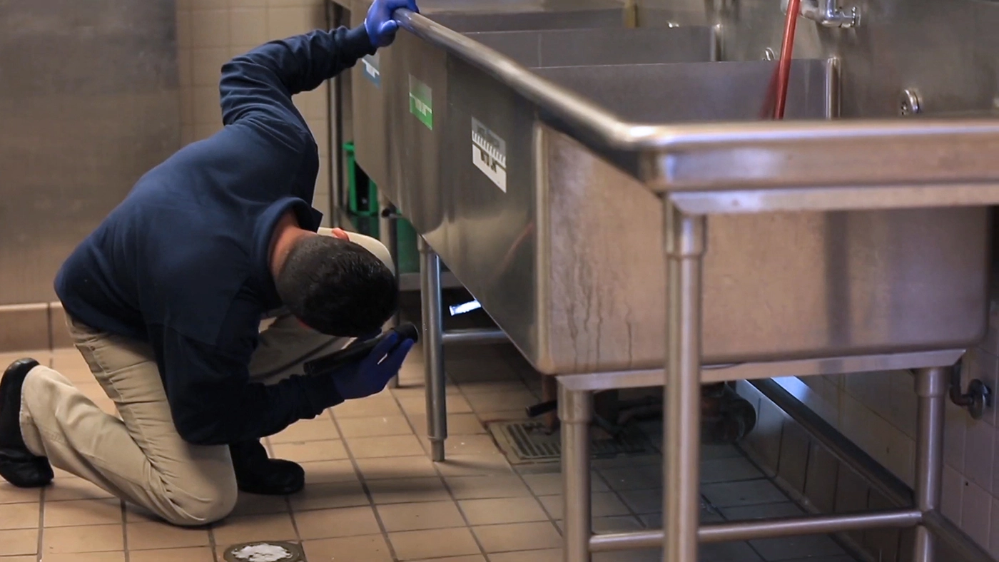 Commercial Exterminator Services | Victory Pest Solutions